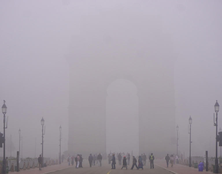 Dense fog envelops Delhi; flight, train operations disrupted