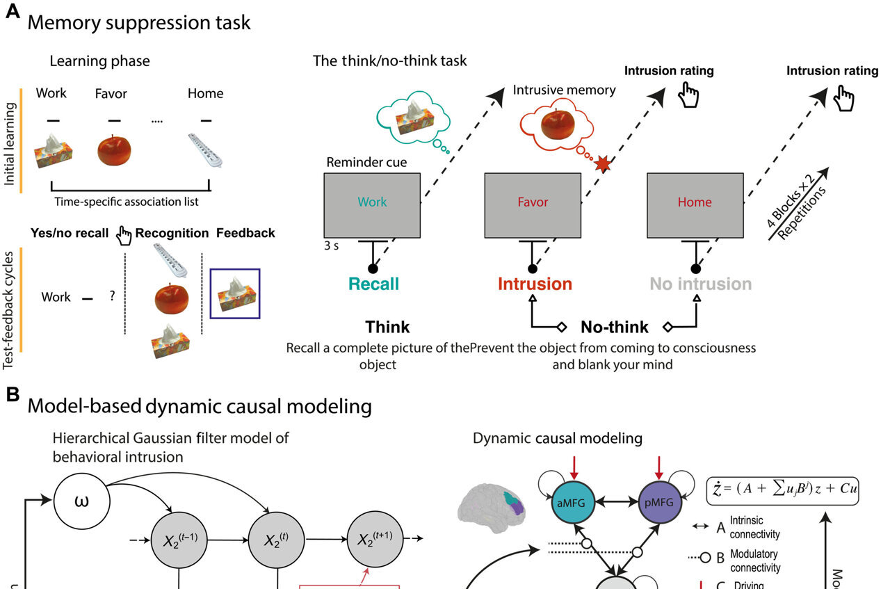 Neuroplasticity linked to PTSD resilience in Paris terror attack