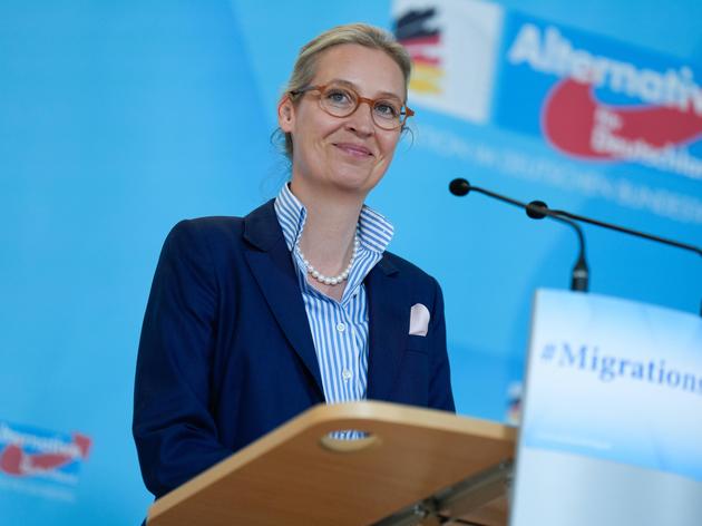 AfD-Wahlprogramm in der Kurzfassung – die zentralen Pläne der Partei