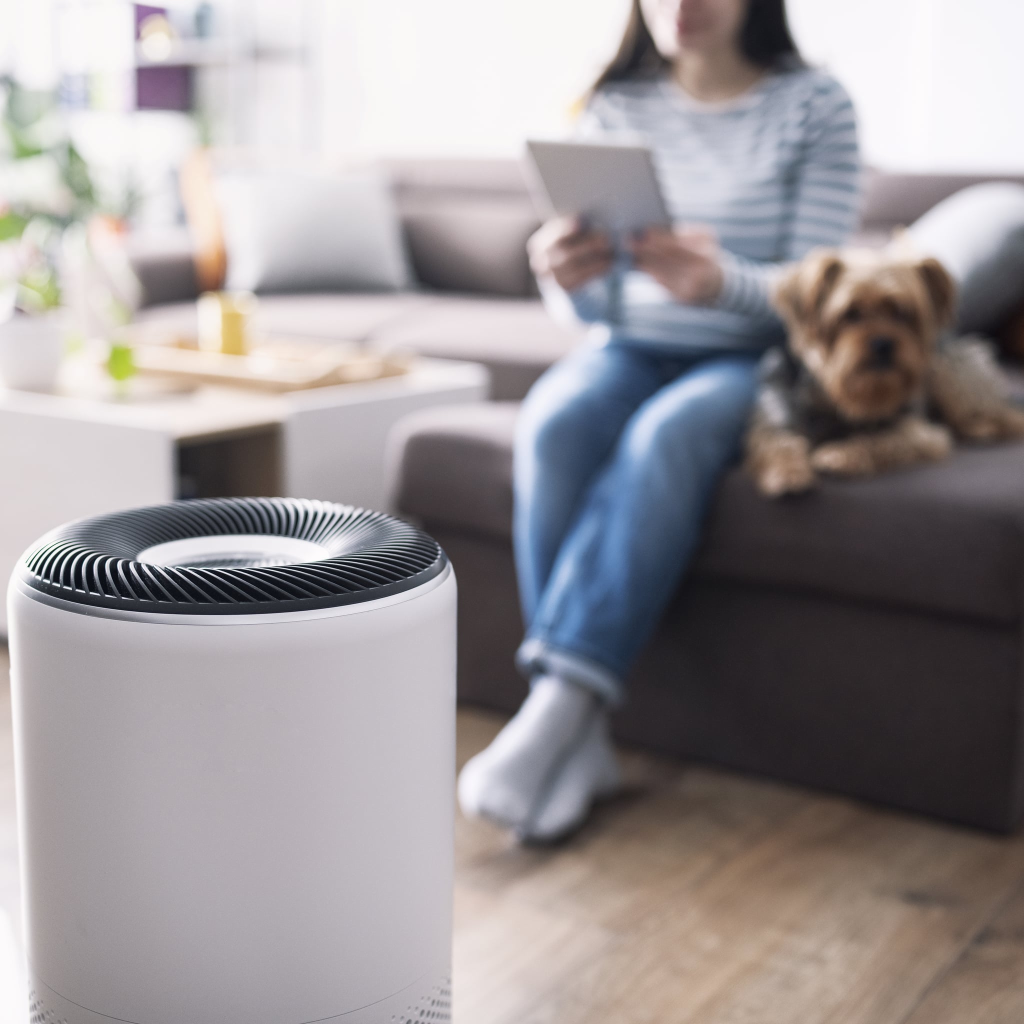 The 13 Best Air Purifiers on Amazon - Starting at Just $40