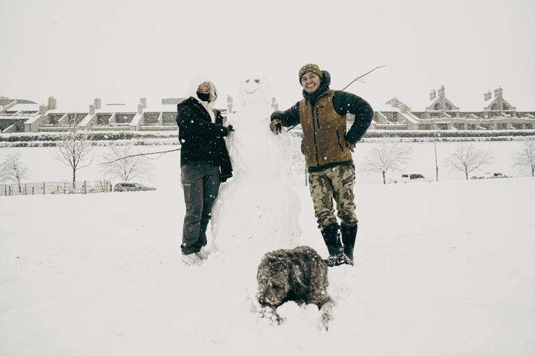 How cold is too cold to walk my dog? How to keep pets safe in Memphis