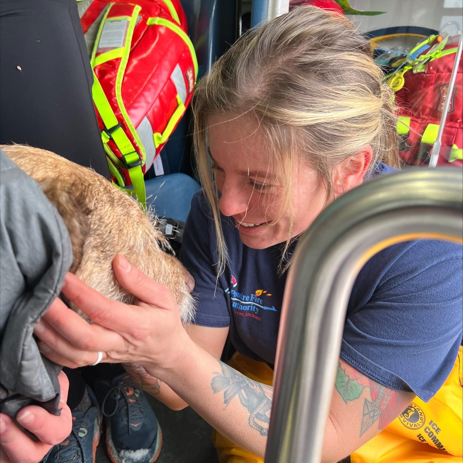 Fort Collins firefighters save dogs in two separate icy water rescues ...