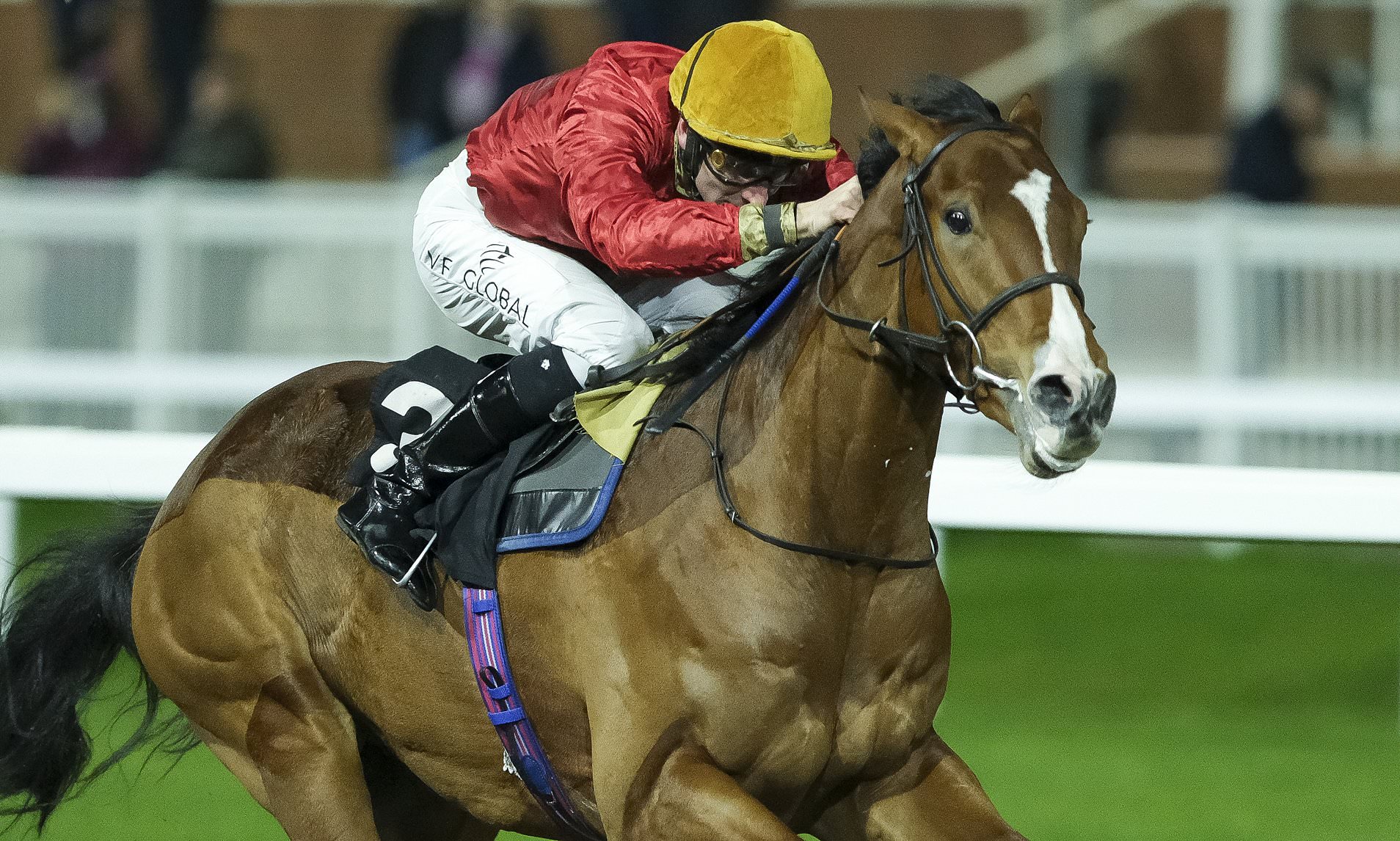 Robin Goodfellow's racing tips: Best bets for Saturday, January 11