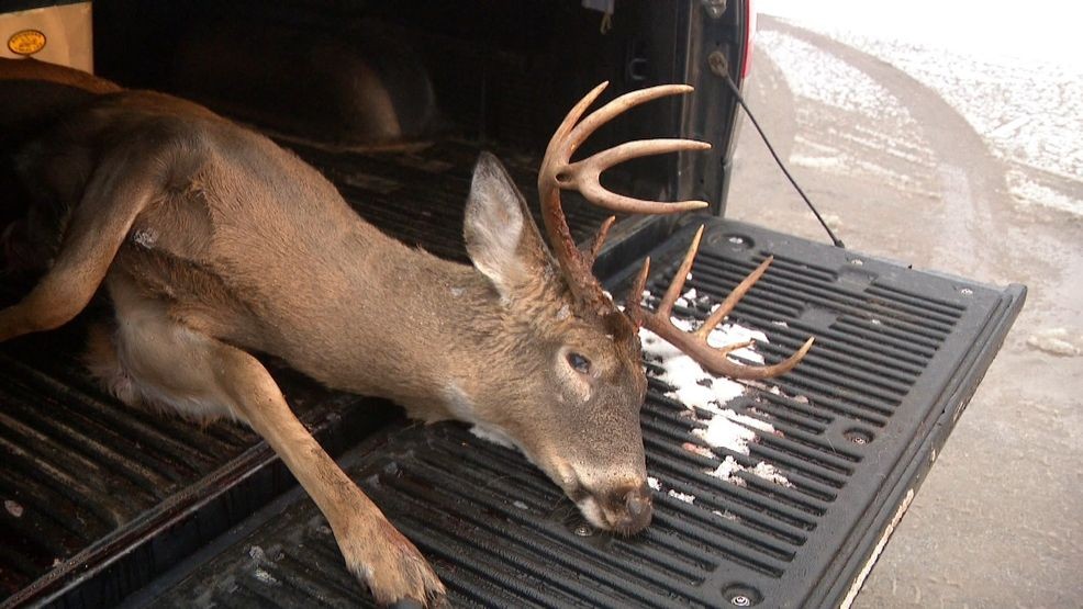 Deer management units could change across northern Wisconsin