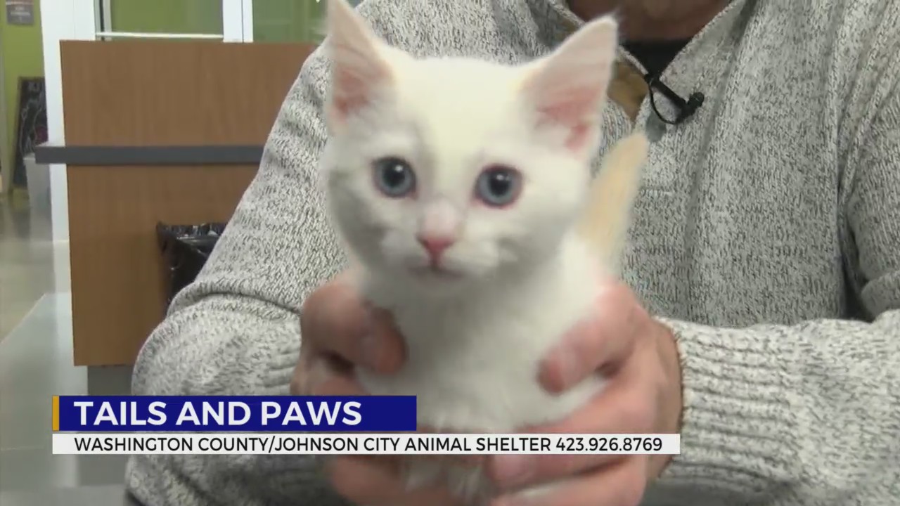 Tails and Paws for Friday, January 10, 2025