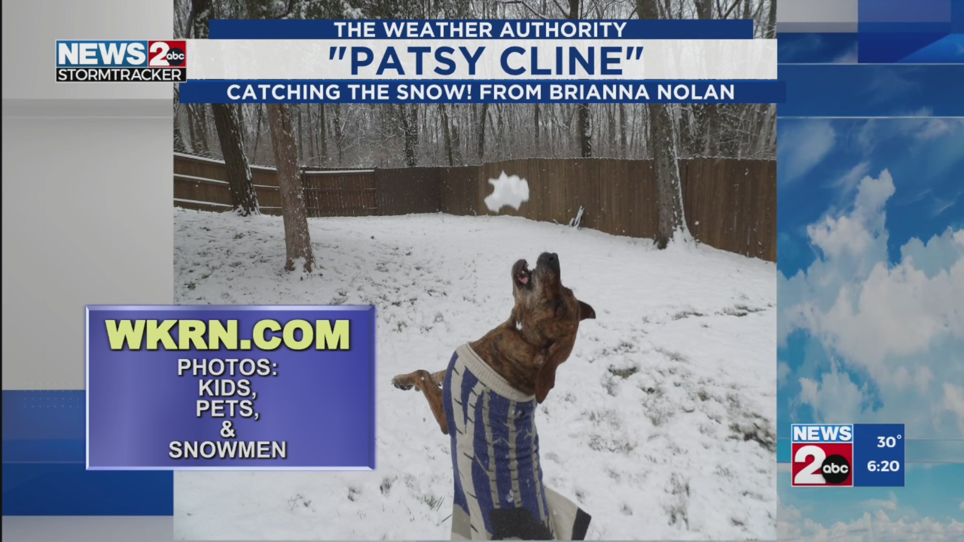 Dog named Patsy Cline among many pets playing in Friday's snow