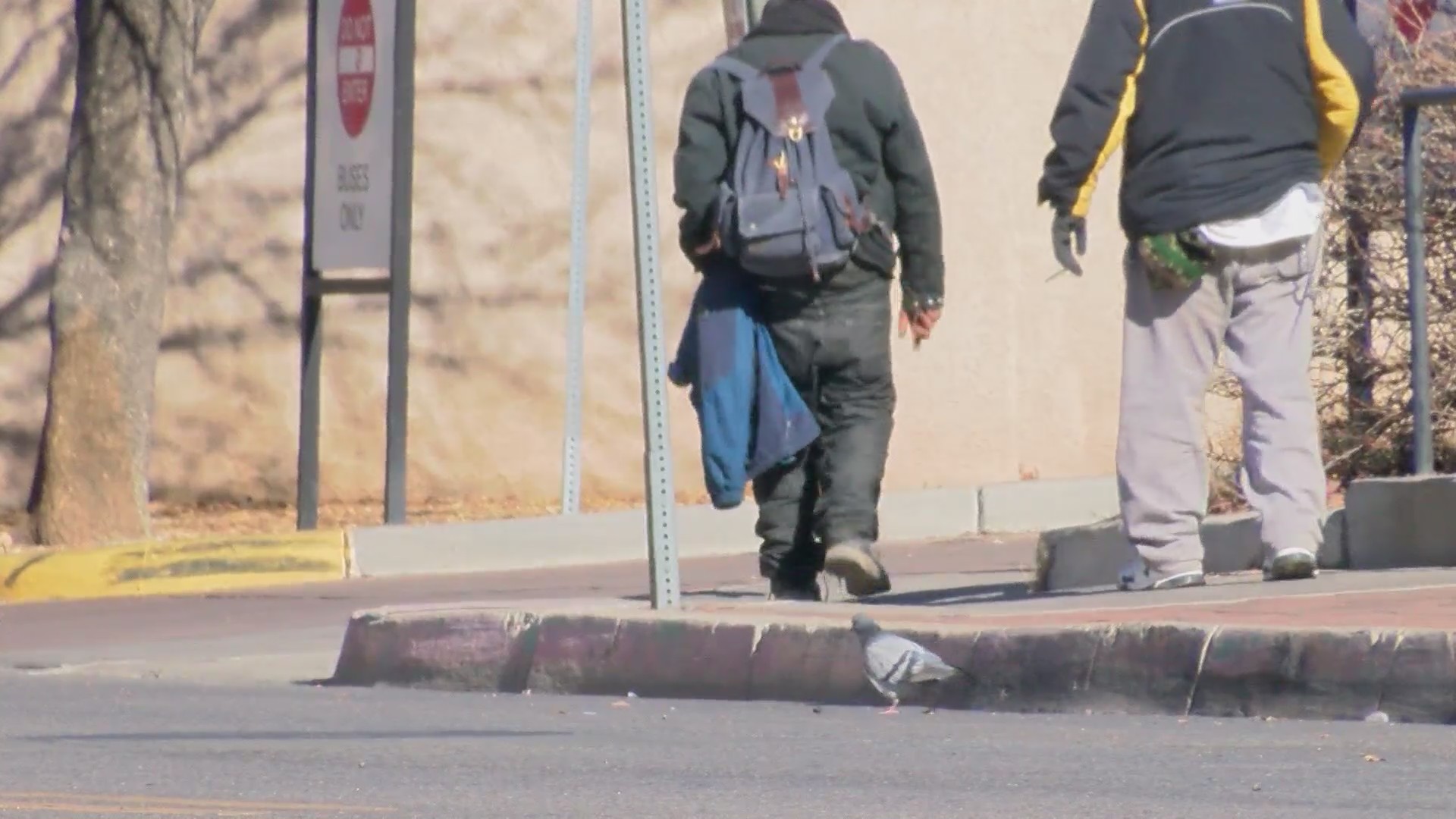 New Mexico Coalition to End Homelessness prepares for 2025 homeless count