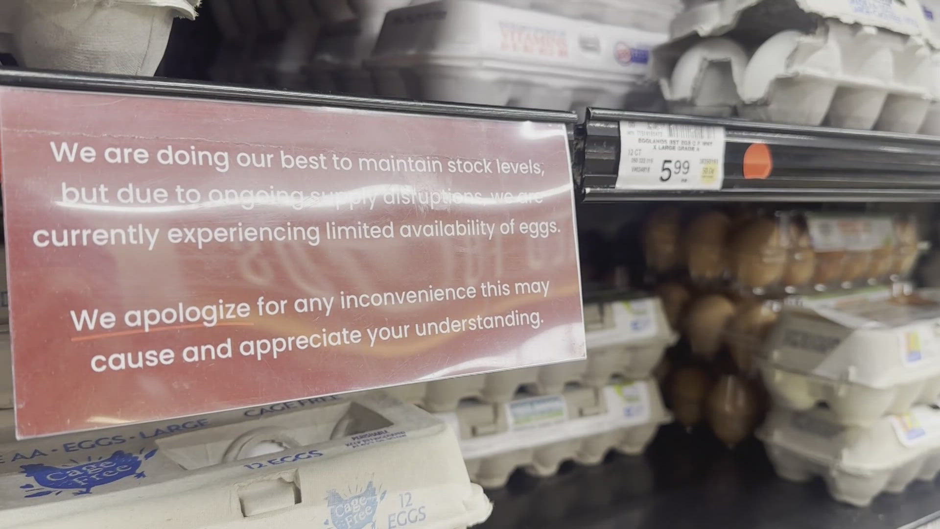 USDA, State and farmers: Avian flu, not cage-free egg law, causing egg ...