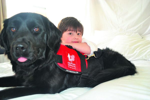 11 Types Of Service Dogs Who Make The Lives Of Their Humans Beautiful