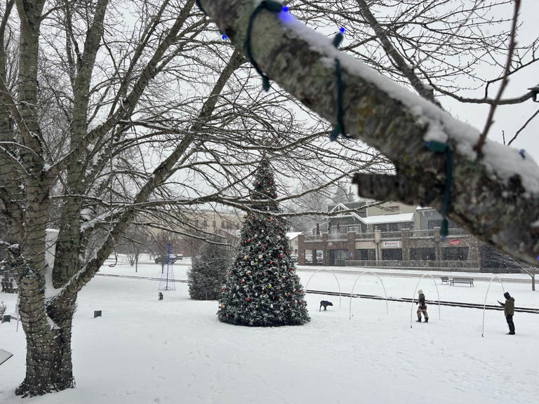 Friday snow storm brings winter wonderland to Blue Ridge