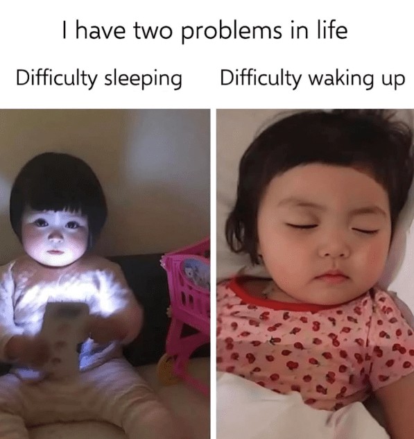 40 Hilarious Introvert Memes For "Lone Wolves" Who Are Actually Indoor ...