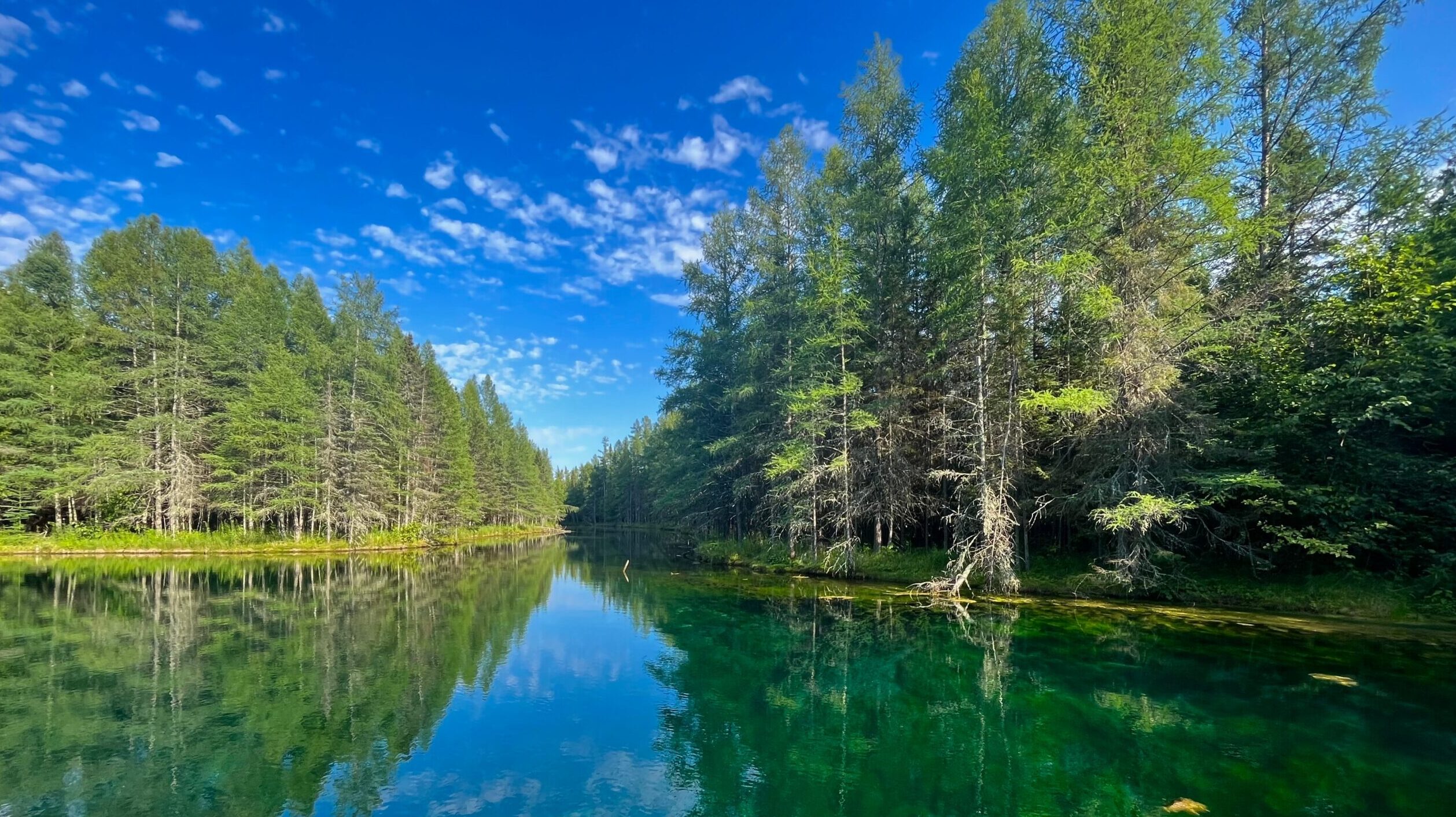 You Are Going to Be Curious About This Stunning Freshwater Spring in ...