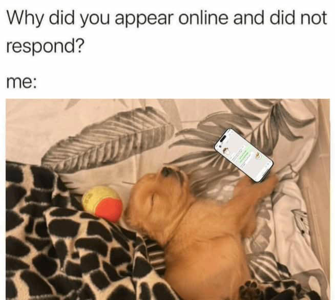 40 Hilarious Introvert Memes For "Lone Wolves" Who Are Actually Indoor ...