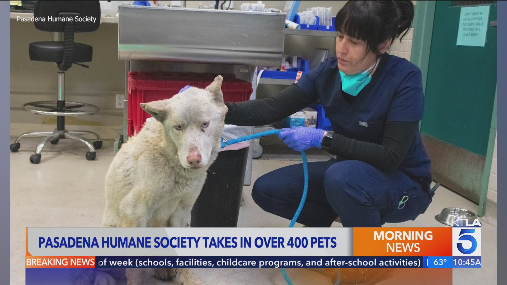 Pasadena Humane Society needs help