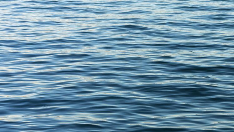 Low water levels force closures at W Kerr Scott Lake in Wilkesboro ...