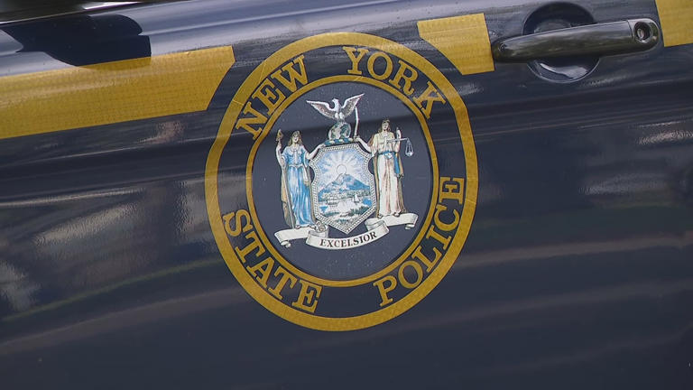 New York State Police arrest suspect hiding in woods after burglary ...