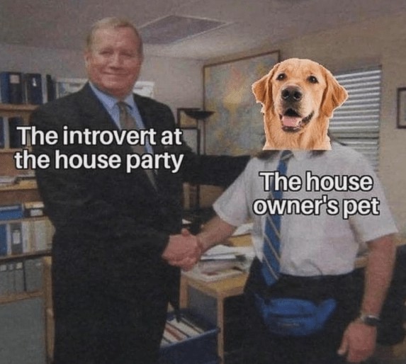 40 Hilarious Introvert Memes For "Lone Wolves" Who Are Actually Indoor ...