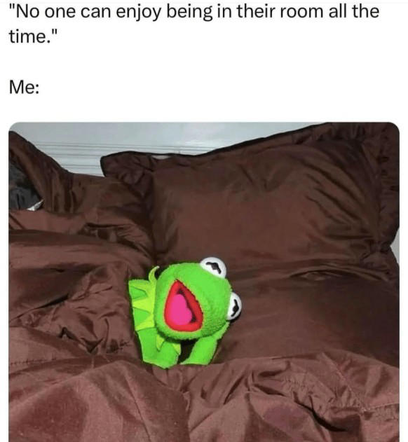 40 Hilarious Introvert Memes For "Lone Wolves" Who Are Actually Indoor ...