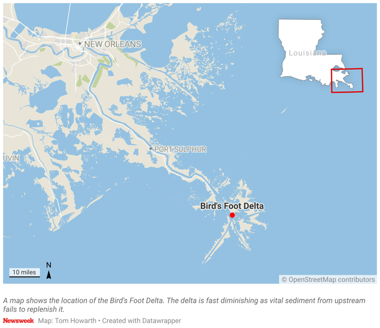 Mississippi Delta Could Vanish Soon, Scientists Warn