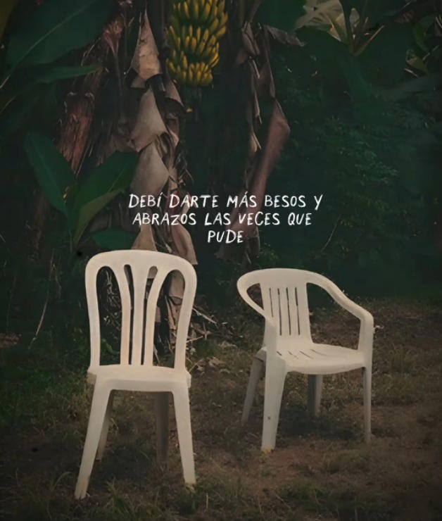 'Debí tirar más fotos': El emotivo trend viral en TikTok que ya hizo ...