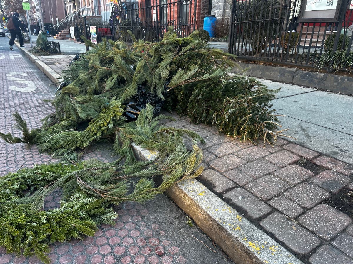 Deadline Set For Christmas Tree Pickup In Mahwah