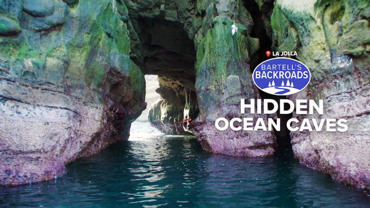 Getting past the sea creatures at the La Jolla Caves | Bartell's Backroads