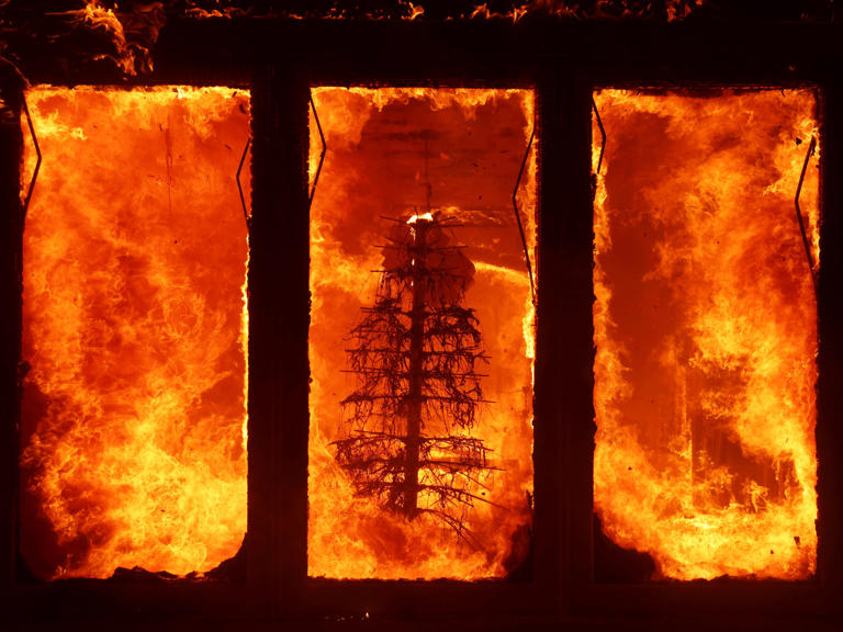 The most horrific wildfires in recent US history have one key feature in common