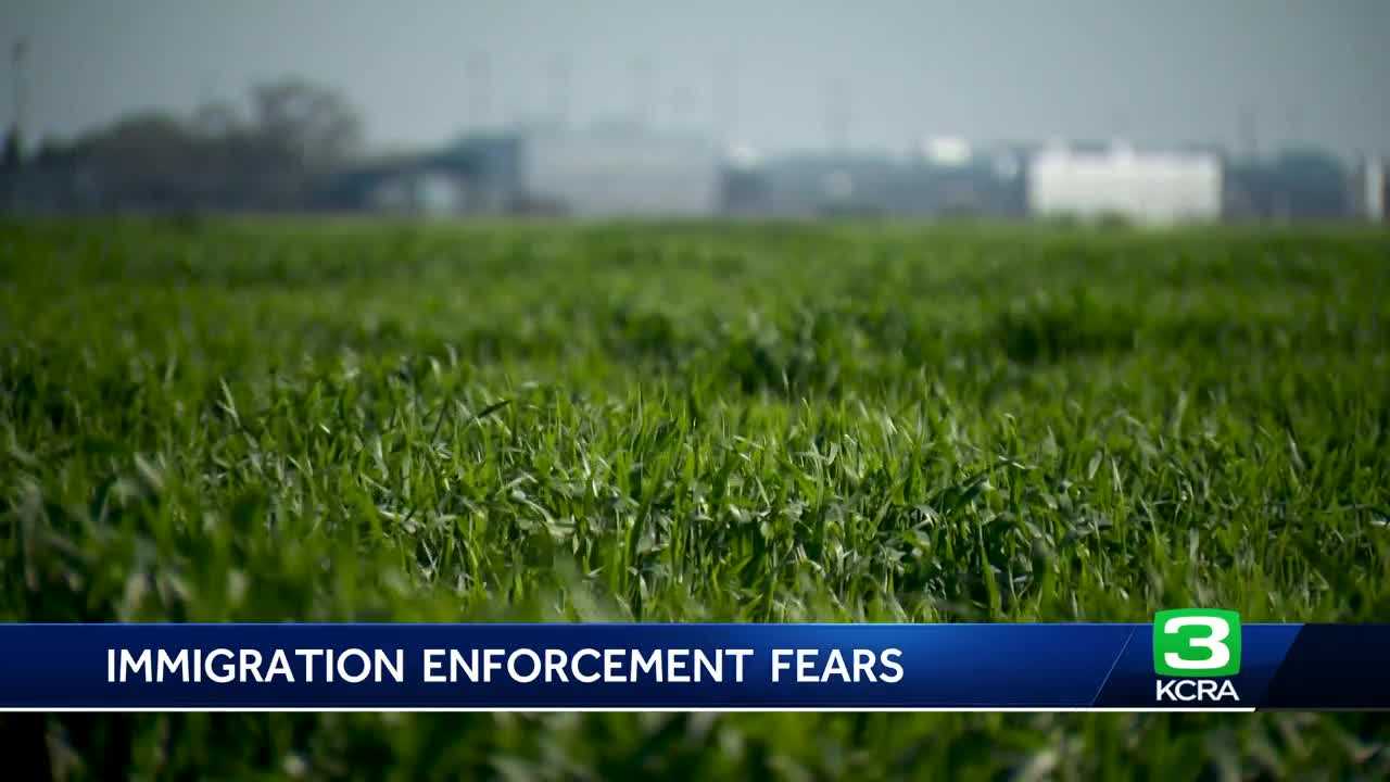 Rumors about Border Patrol operations in California spark social media ...