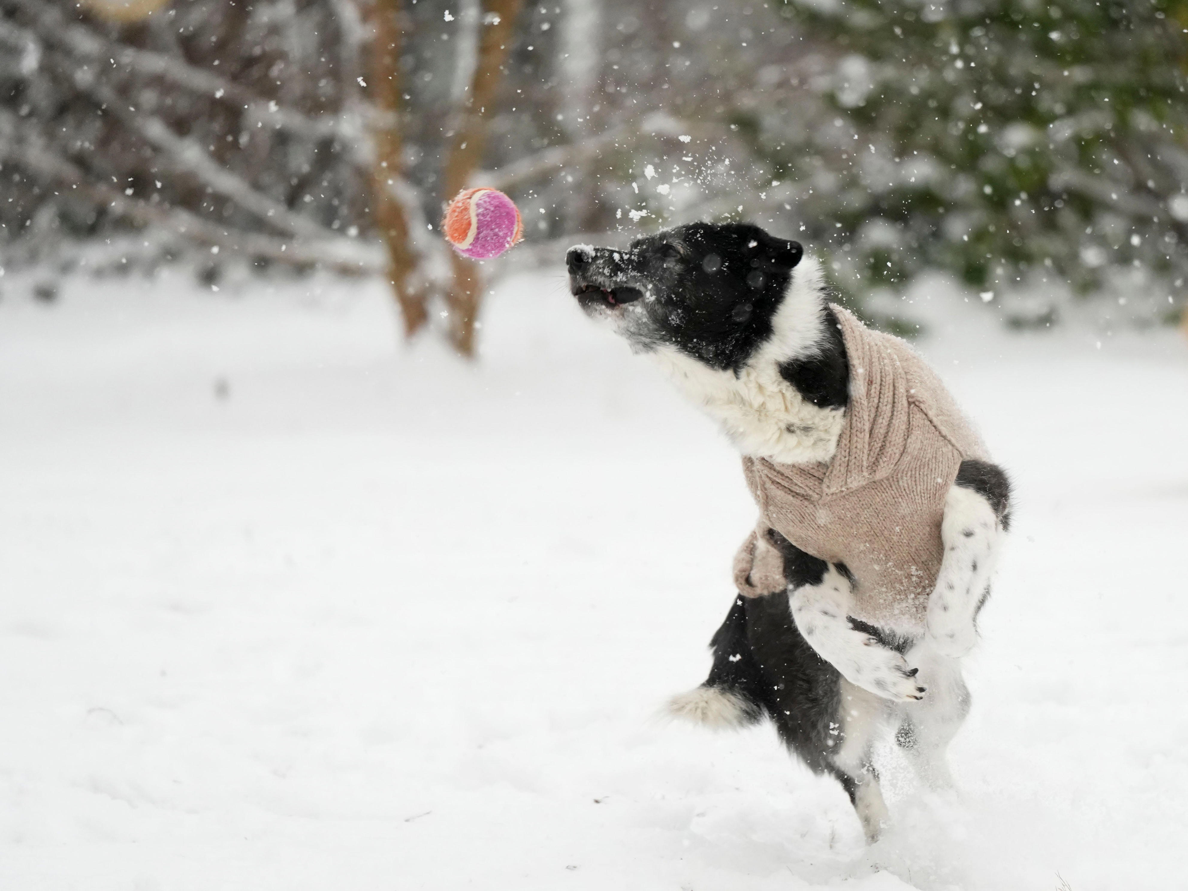How soon will it snow in East Tennessee? Winter will be here before you ...