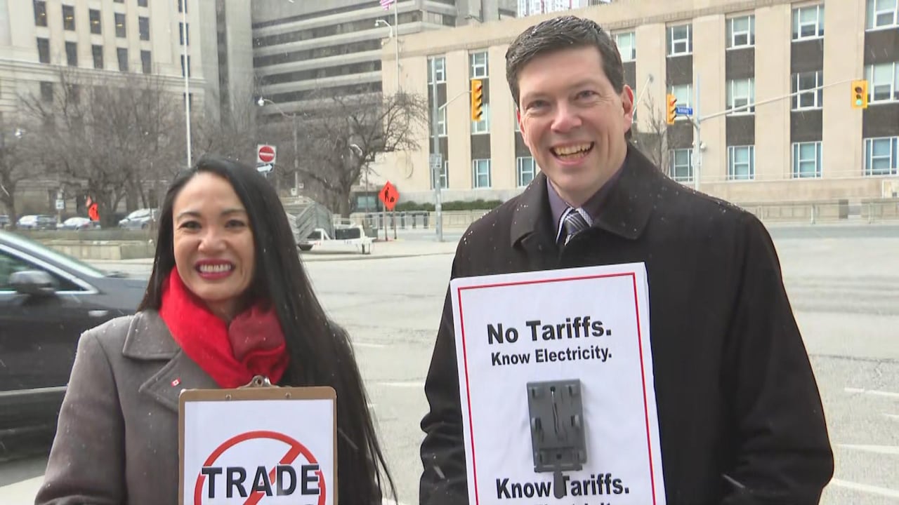 Pair of GTA councillors to launch anti-tariff ads during Trump's ...