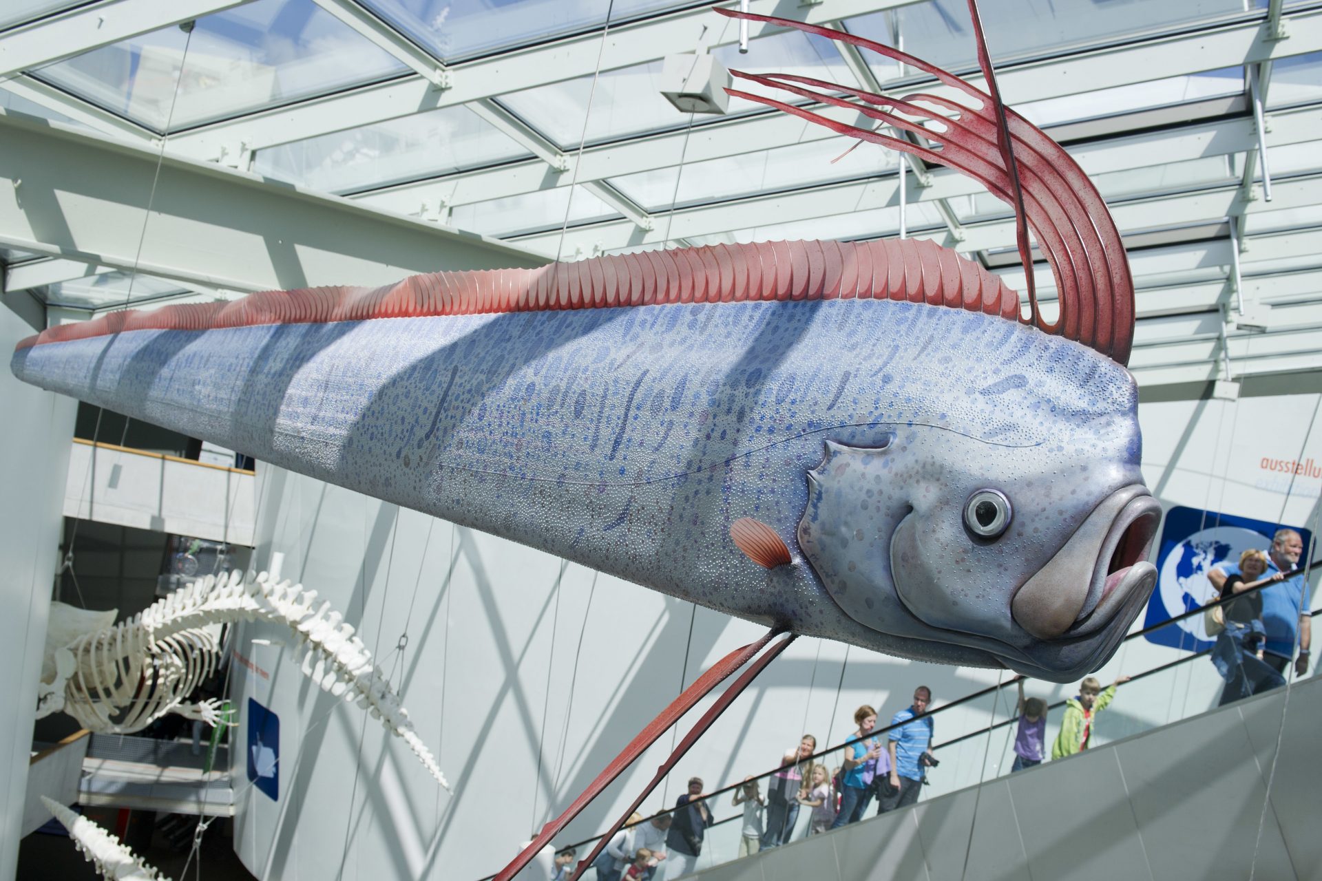 Aux États-Unis, l'apparition d'un "poisson de l'apocalypse" suscite des ...