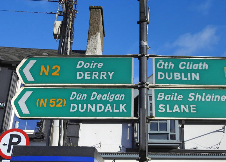 Anti-Irish language group to consider standing for elections in north ...