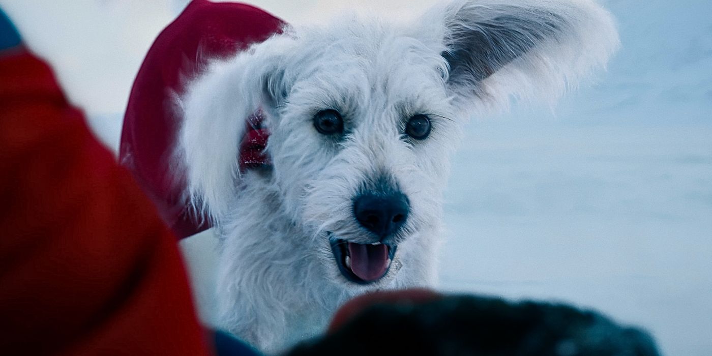 'Superman' Originally Included a Violent Opening With Krypto Killing Snowmen