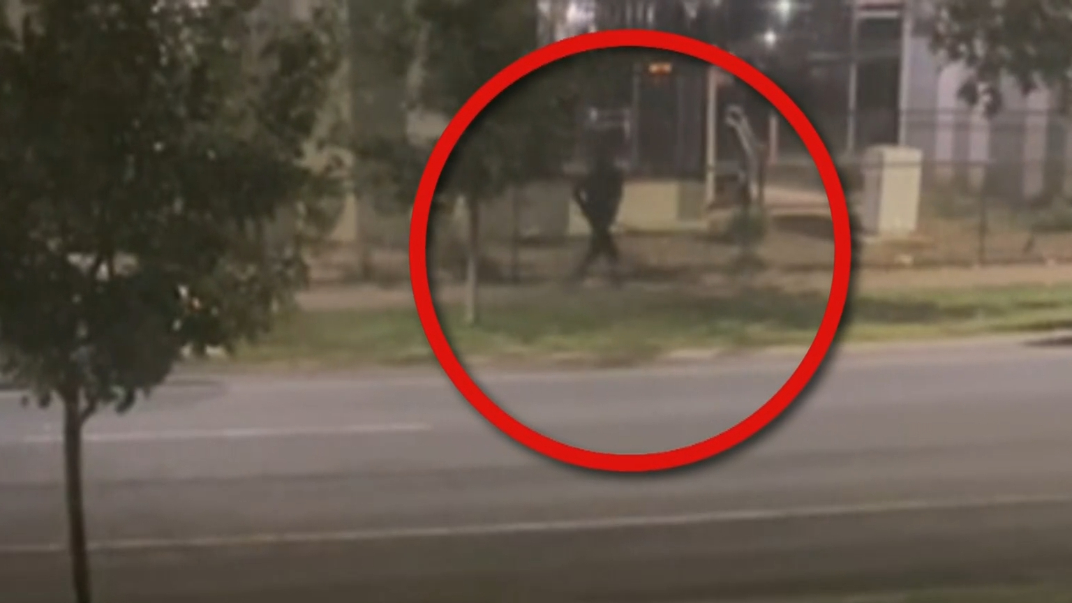 Man allegedly stabbed to death in Melbourne park