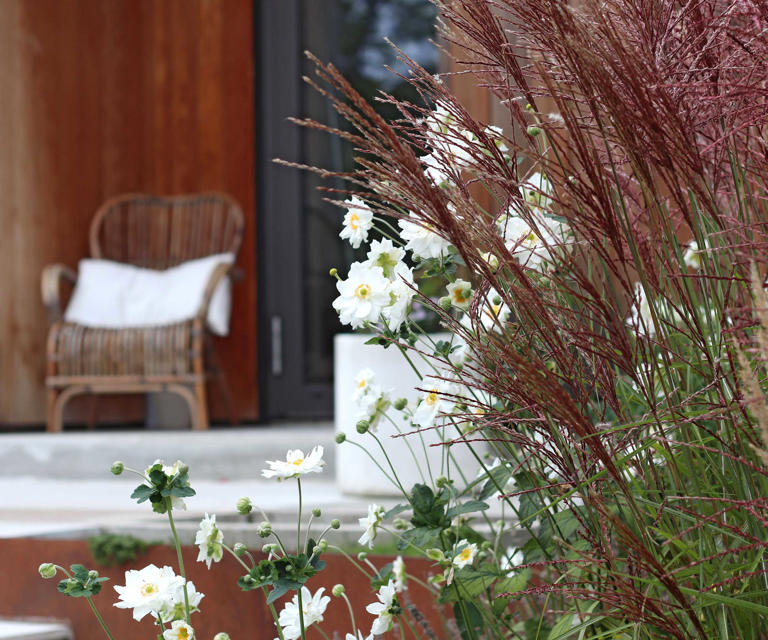 How to create a Scandi-style garden – the 7 key elements that inform ...