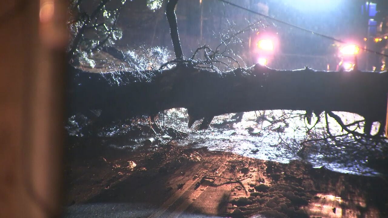 LIVE UPDATES: Icy conditions downing trees and powerlines across North ...