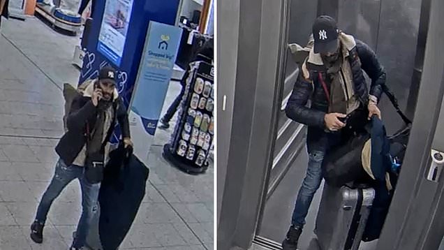 CCTV released of Gatwick Airport luggage theft suspect