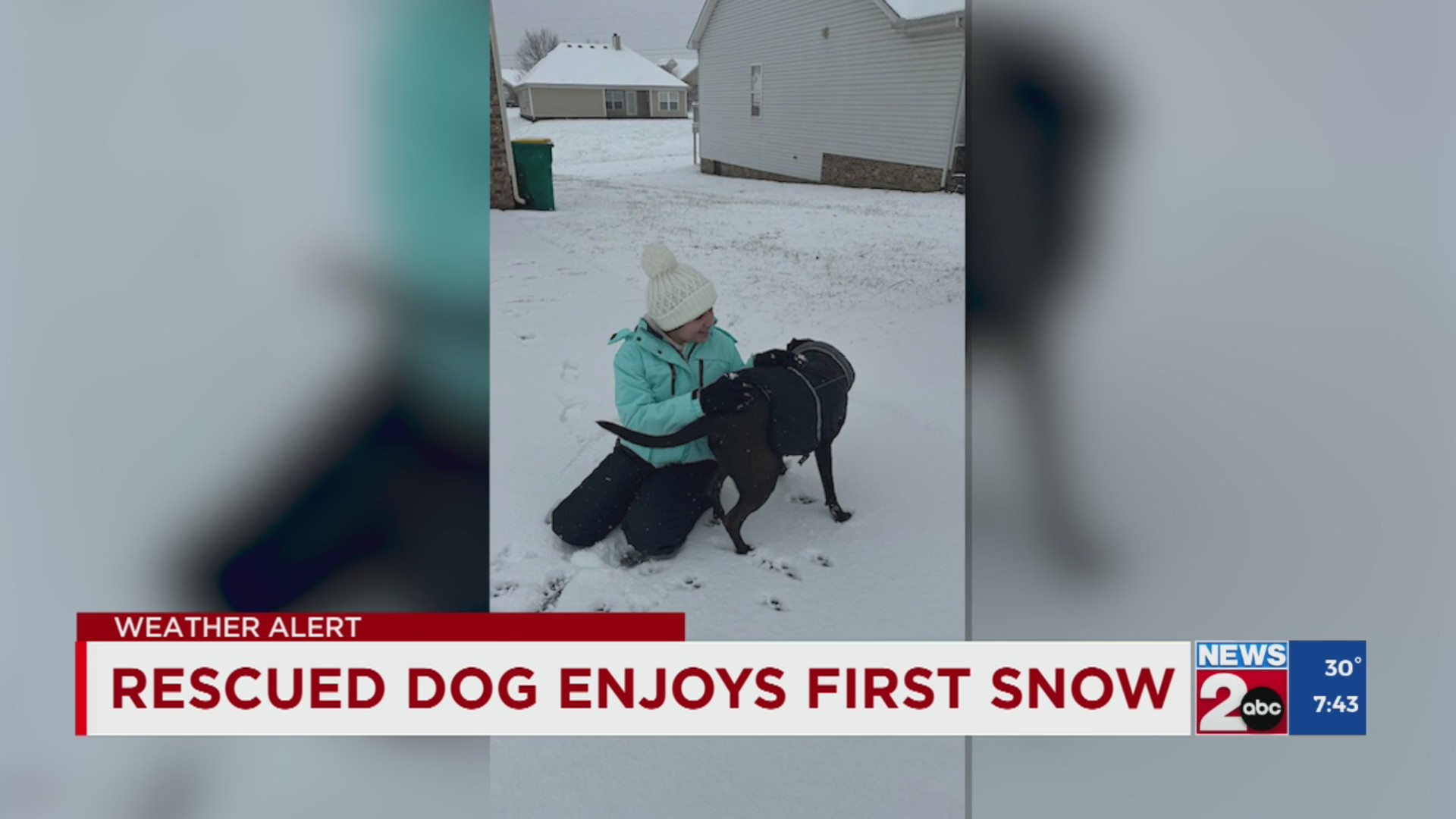 Rescue dog enjoys first snow with forever family