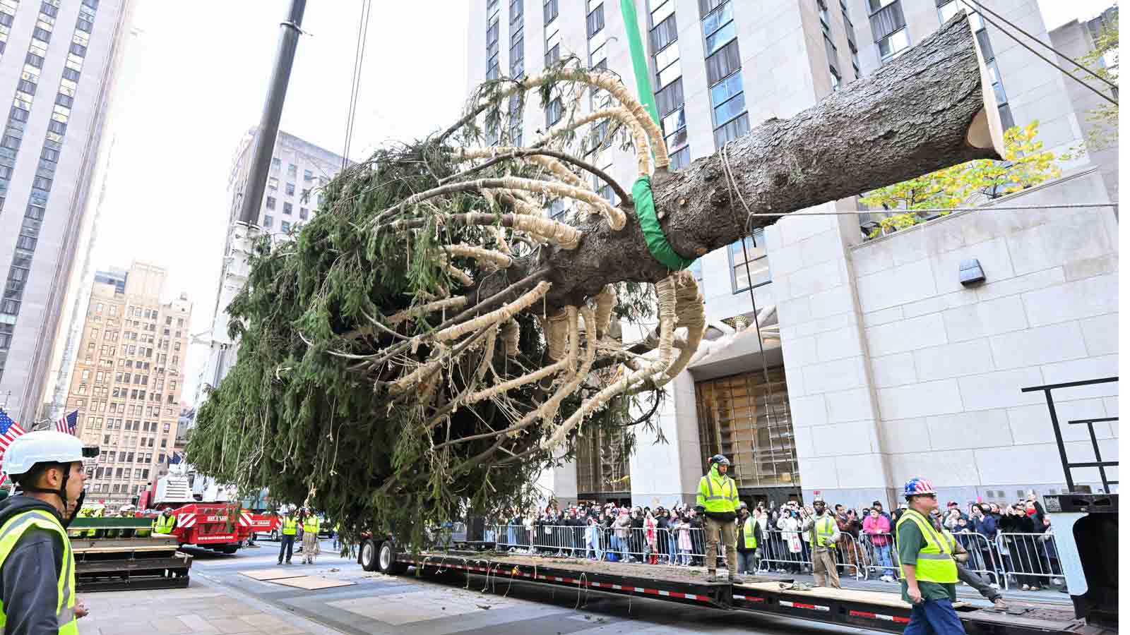 Rock Center tree comes down today — here is what's next for the 11-ton ...