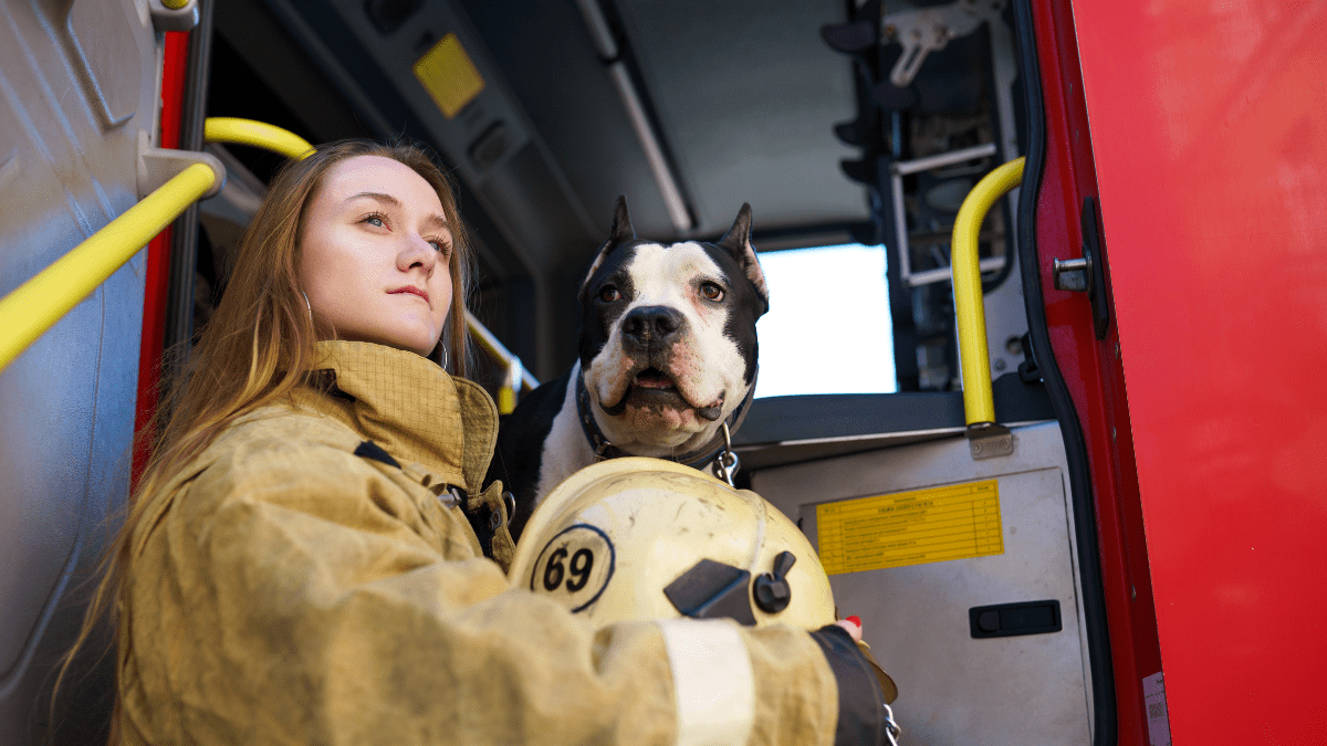 Heroic Vet Rescues 41 Animals During Palisades Fire