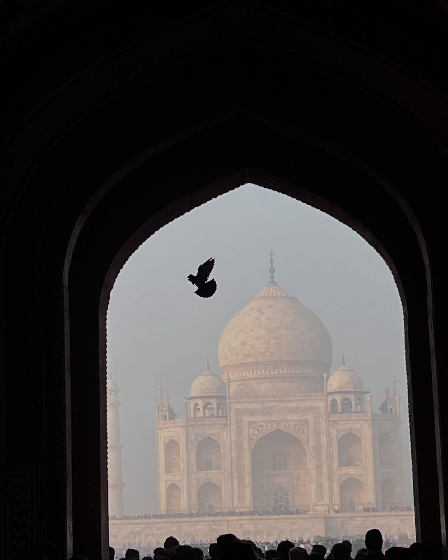Uma viagem inesquecível: João Monteiro partilha fotos de aventura na Índia!