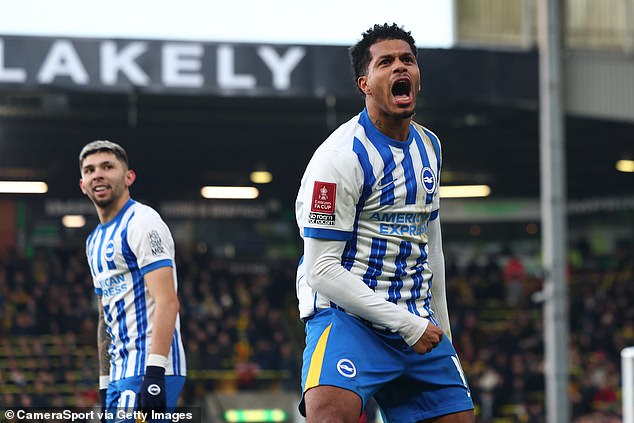 Norwich 0-4 Brighton: Seagulls soar through FA Cup third round test as ...
