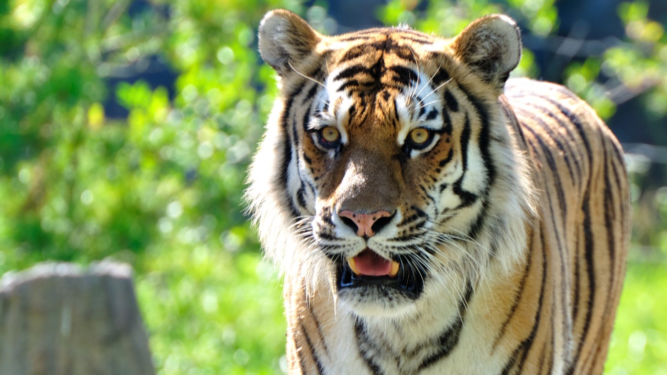 Billionaire Chase Coleman III Completely Sells Out of DexCom and ...