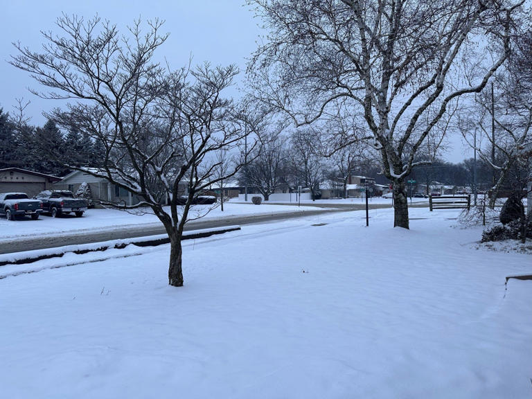 Winter storms hit Michigan: Snowfall totals in your area