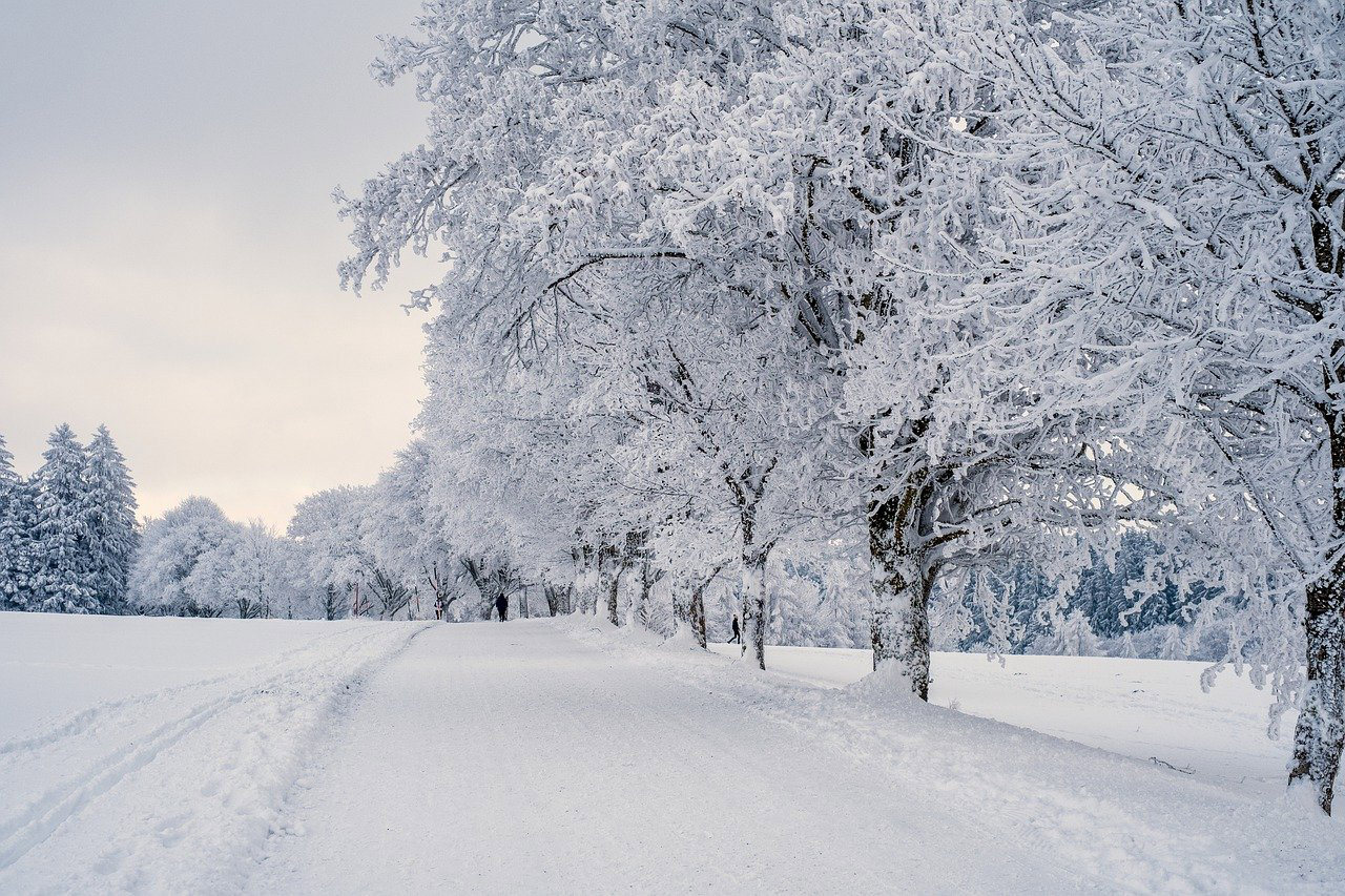 How to Build a Shelter in the Snow: A Beginner’s Guide How to Build a Shelter in the Snow: A Beginner’s Guide