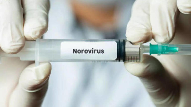 Why Is There No Vaccine For Norovirus As It Spreads Across US? How Much Do You Need To Wait