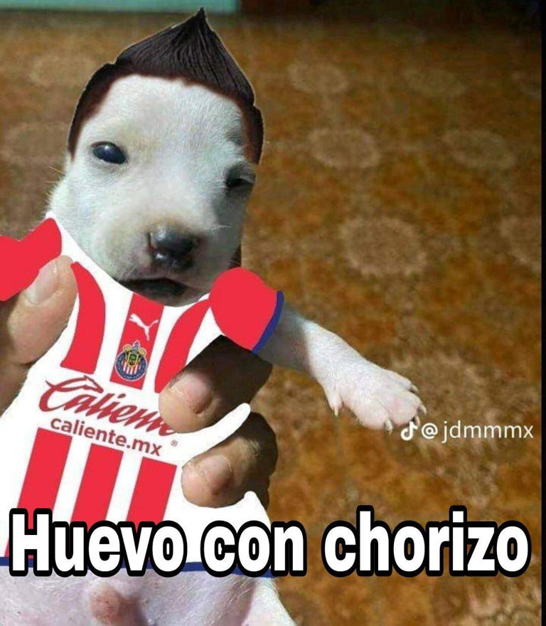Los mejores MEMES del triunfo de Chivas ante Santos; las redes sociales ...