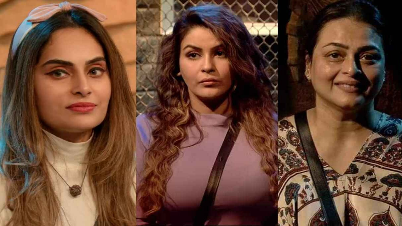 Bigg Boss 18 EXCLUSIVE: Why did Shrutika Arjun say 'I would never ...