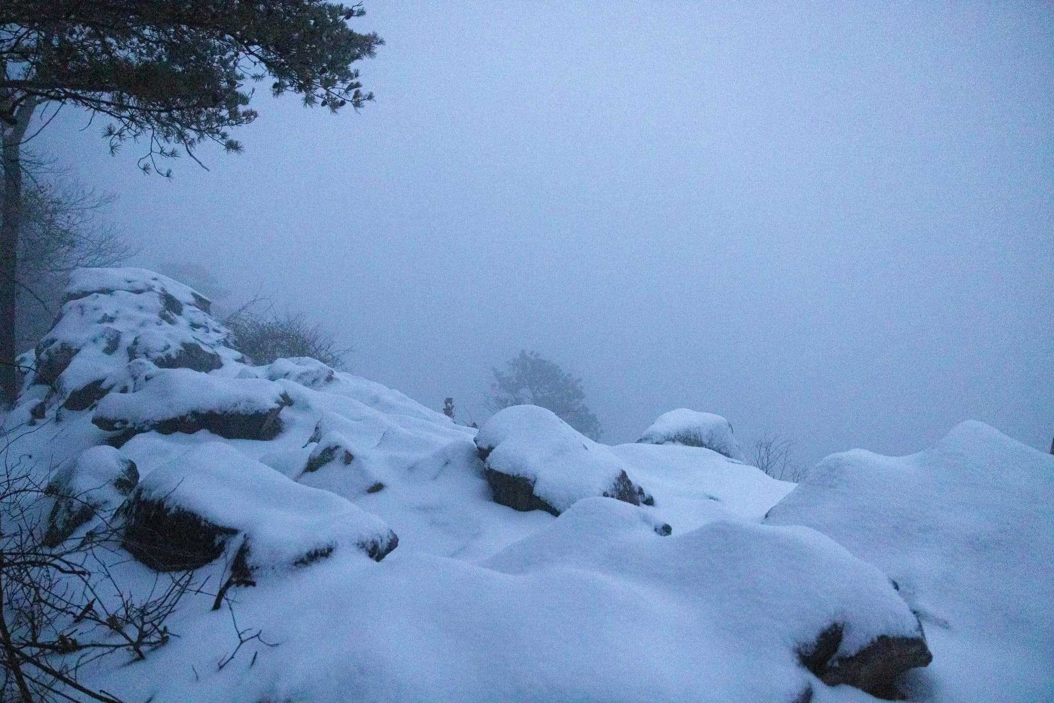 What is freezing fog?