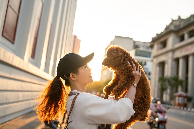 10 Signs Your Dog Thinks You’re the Best Human Ever